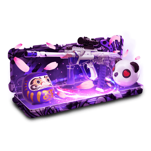 AUG Case - CS2 | CS:GO Case Opening, Cool Skins | Skin.Club