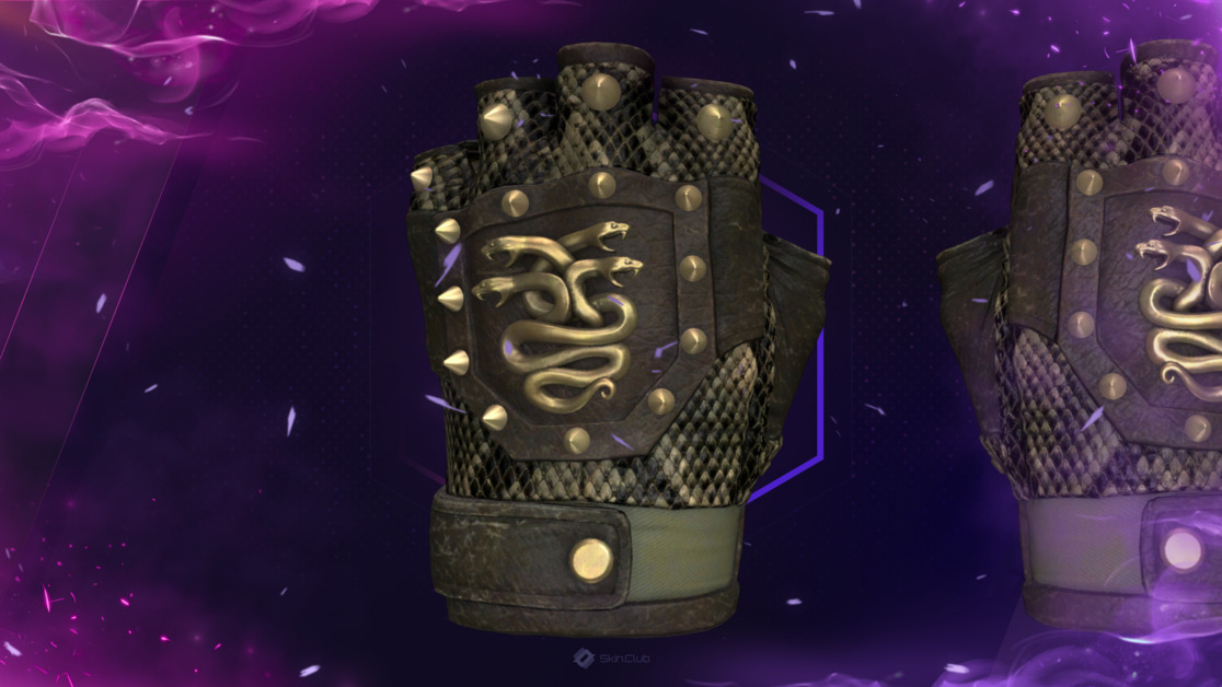 Hydra Gloves | Rattler | Field-Tested