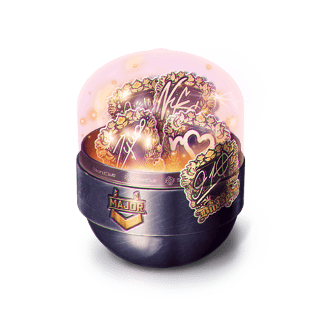 Major Autographs Case - CS2 | CS:GO Case Opening, Cool Skins | Skin.Club