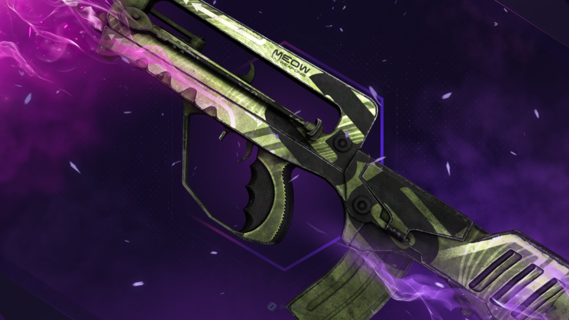 FAMAS | Meow 36 | Well-Worn