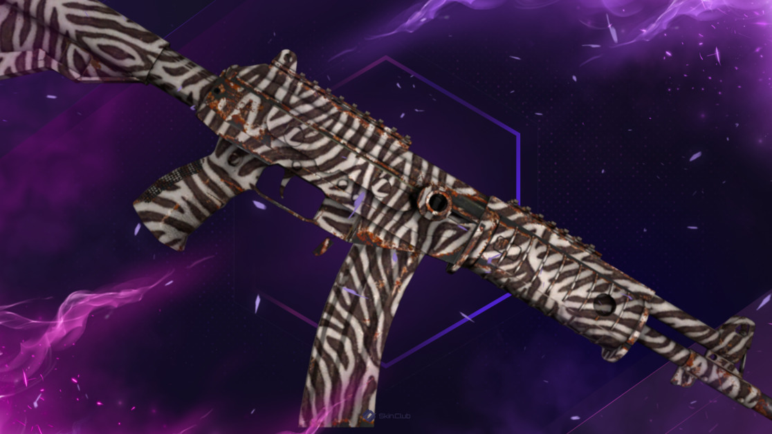 Galil AR | Akoben | Field-Tested