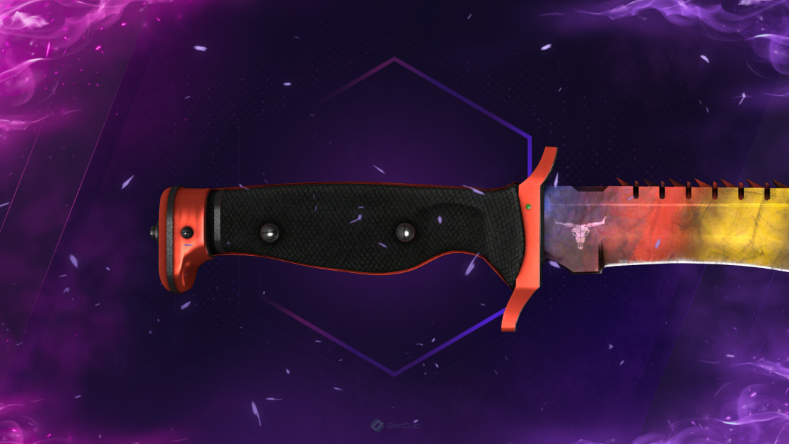 Bowie Knife | Marble Fade | Factory New
