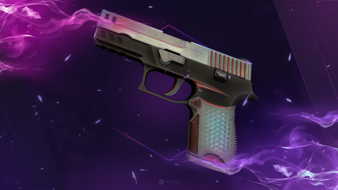 P250 | Cyber Shell | Minimal Wear
