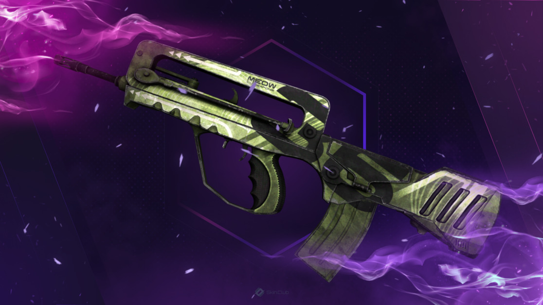 FAMAS | Meow 36 | Well-Worn