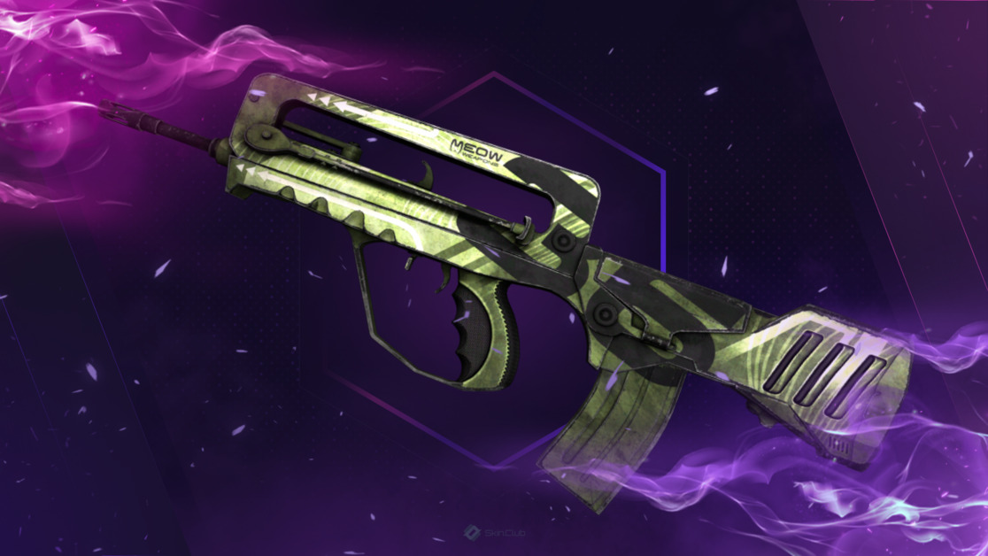 FAMAS | Miyav 36 | Görevde Kullanılmış