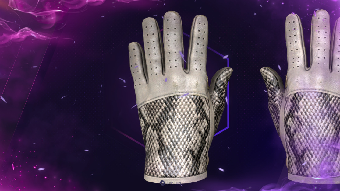 Driver Gloves | King Snake | Minimal Wear