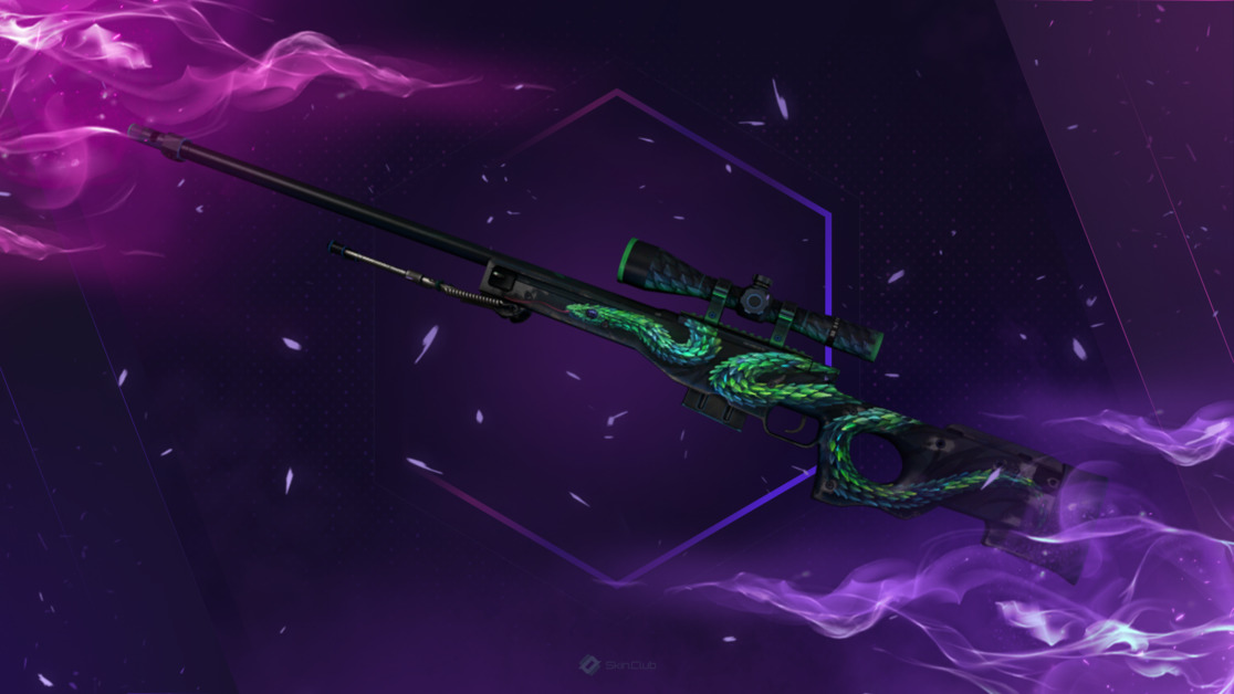 AWP | Atheris | かなり摩耗