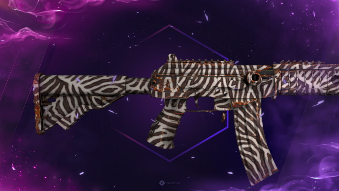 Galil AR | Akoben | Field-Tested