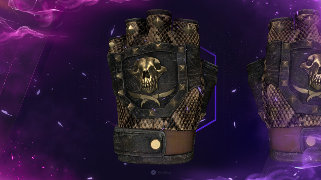 Bloodhound Gloves | Snakebite | Well-Worn