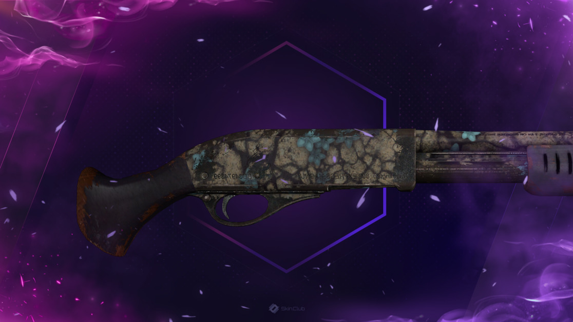 Sawed-Off | Parched | Well-Worn