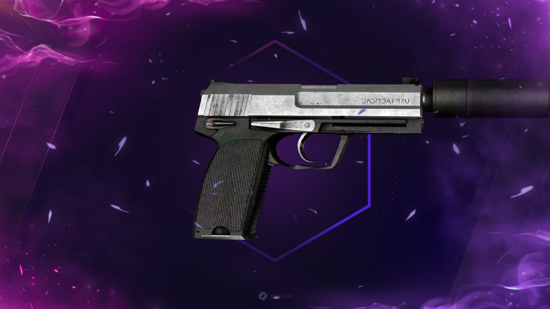 USP-S | Stainless | Well-Worn