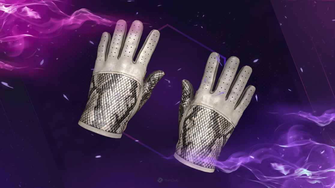 Driver Gloves | King Snake | Minimal Wear