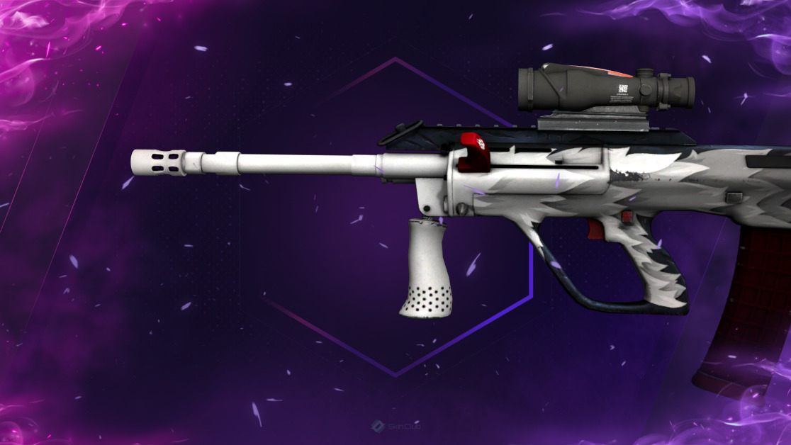 AUG | Arctic Wolf | Well-Worn