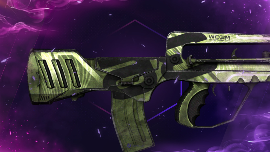 FAMAS | Meow 36 | Well-Worn