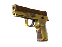 Radiant Case - CS2 | CS:GO Case Opening, Cool Skins | Skin.Club